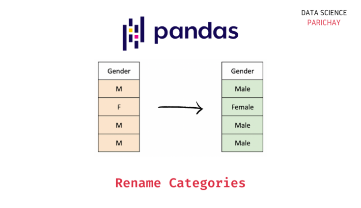Pandas Rename Categories In Category Column Data Science Parichay