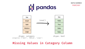 Missing Values in Pandas Category Column - Data Science Parichay