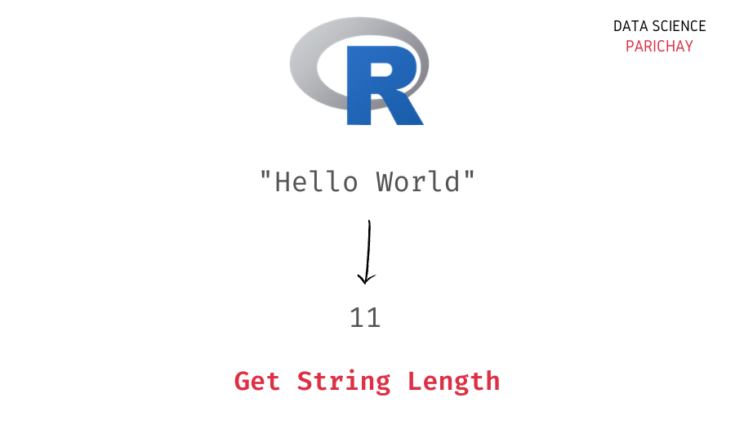 Find the Length of a String in R (With Examples) - Data Science Parichay
