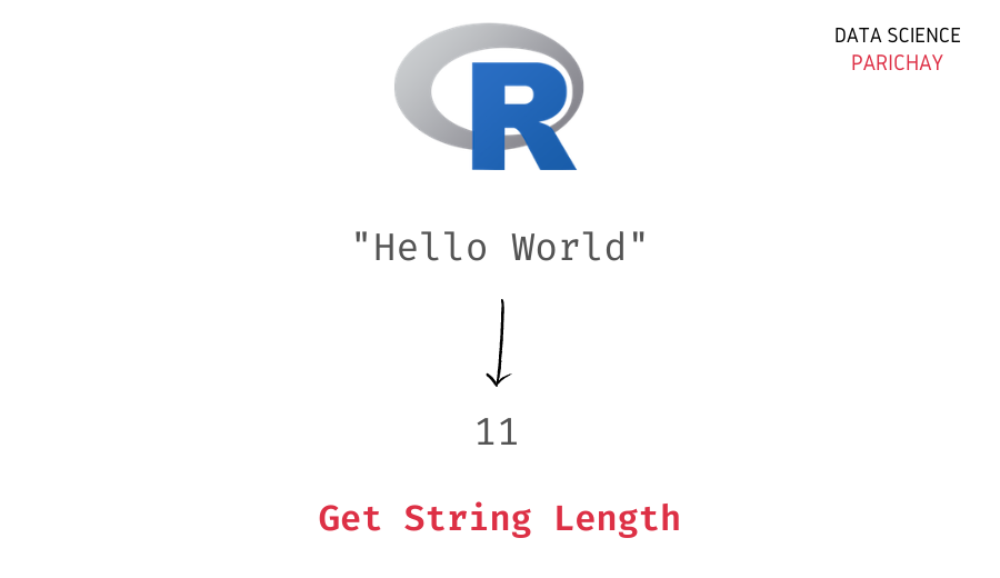 Find The Length Of A String In R With Examples Data Science Parichay