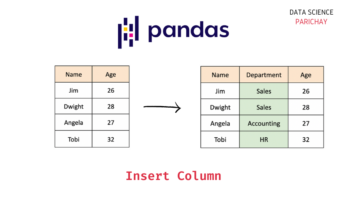Pandas Dataframe insert() function (Examples) - Data Science Parichay