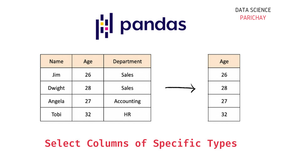 Pandas Select Columns Of A Specific Type Data Science Parichay