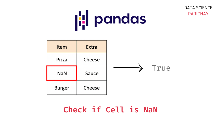 Check If A Cell In Pandas DataFrame Is NaN Data Science Parichay