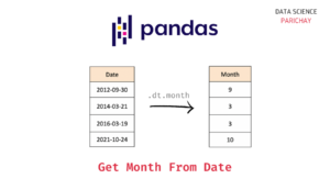 Pandas - Get Month from Date - Data Science Parichay