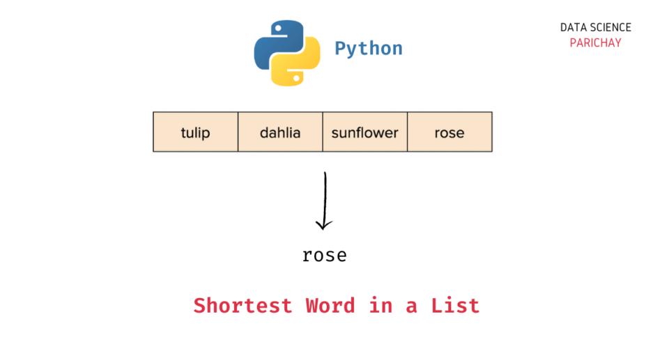 Find the shortest word in a List in Python (with examples) - Data ...